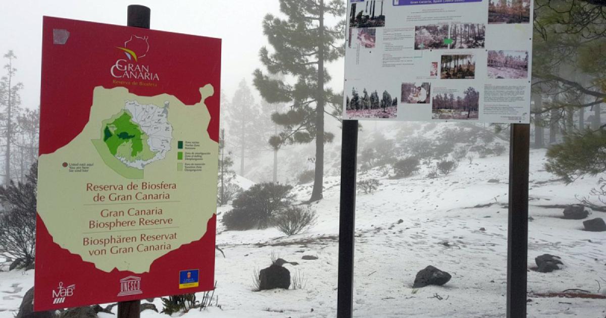 Fire OBS-varsler for uvær fra øyrådet på Gran Canaria i dag Fire OBS-varsler for uvær fra øyrådet på Gran Canaria i dag
